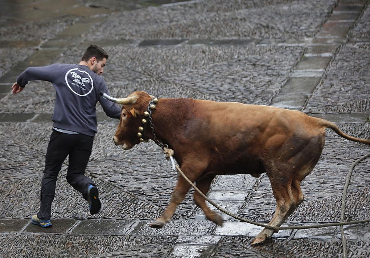 PNV y PSE presentan una ley para «proteger el histórico arraigo social» de las fiestas taurinas ...